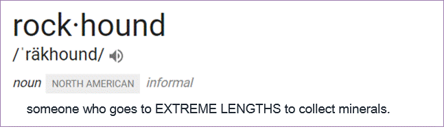 Scavenger Scout Book Promo | Children's Book Author Shelby Wilde